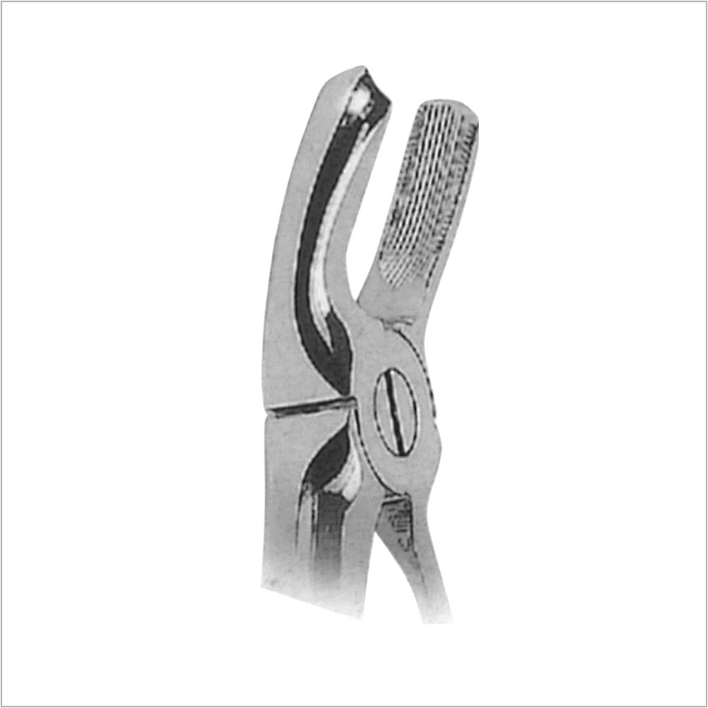 upper-molar-right-my-blog